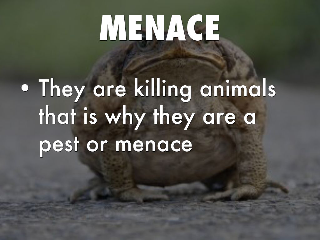 Science by Daniel Surra