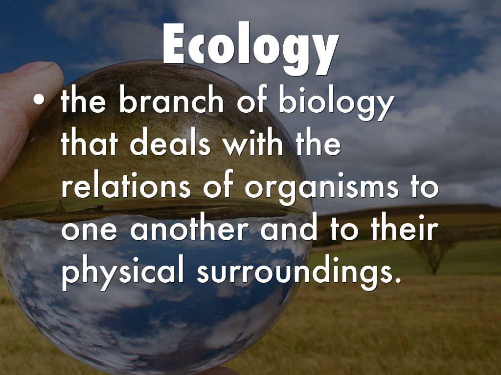 IB Biology Vocab. Unit 4 by Courtney Osborn