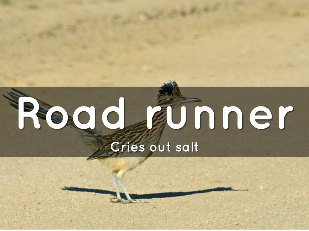 Living Things by Yasmien Gomaa