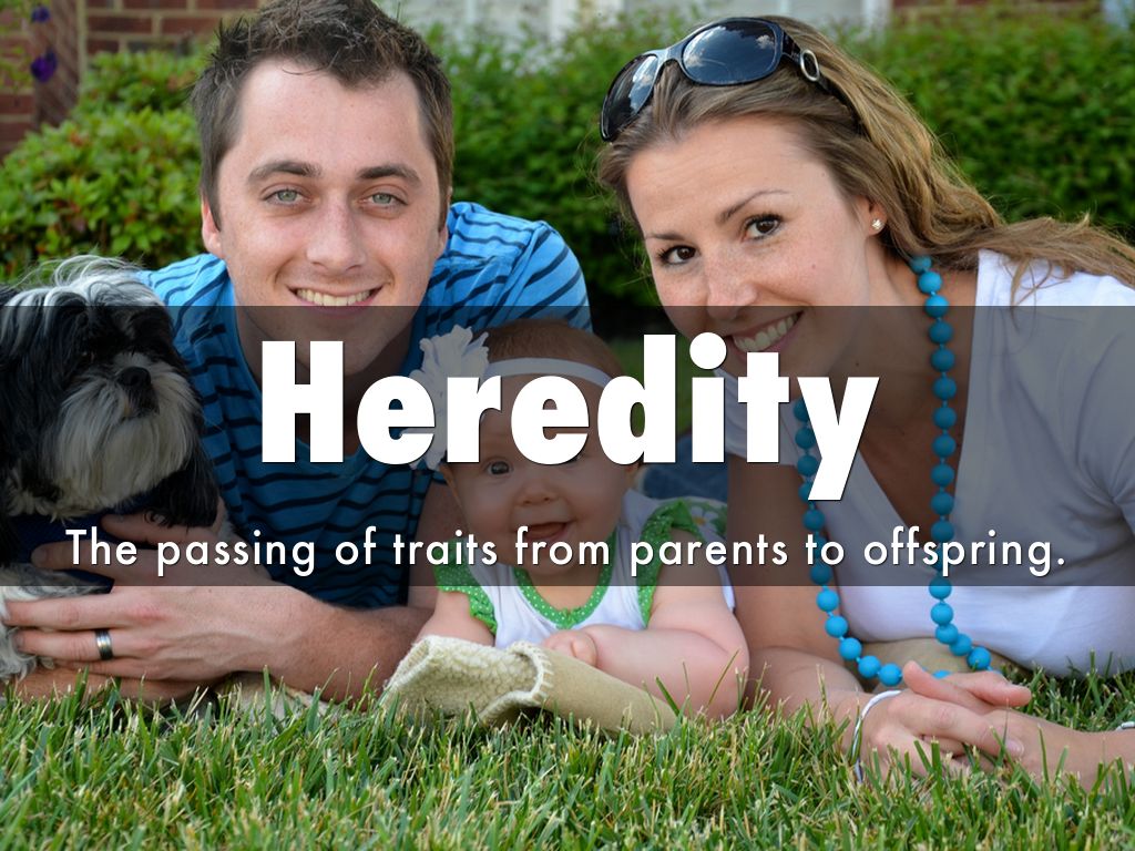 Heredity by jpatterson21