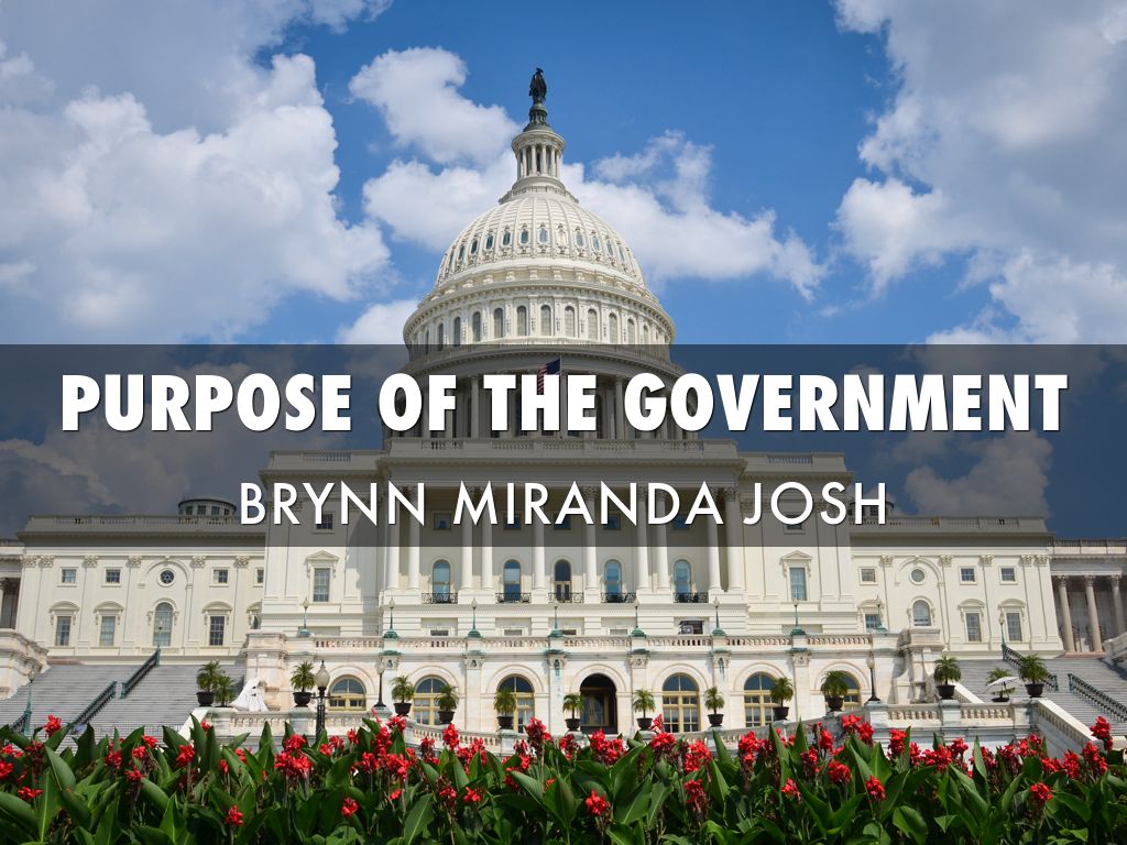 Purpose Of The Government By Brdavis1