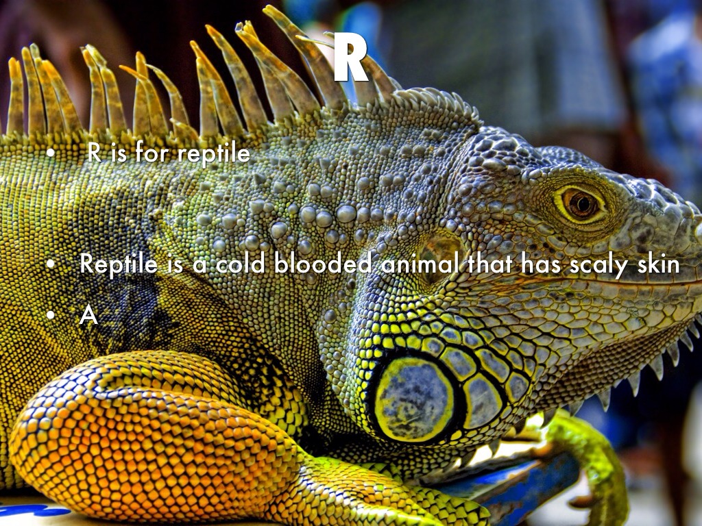 ABC Book Of Science by Anna