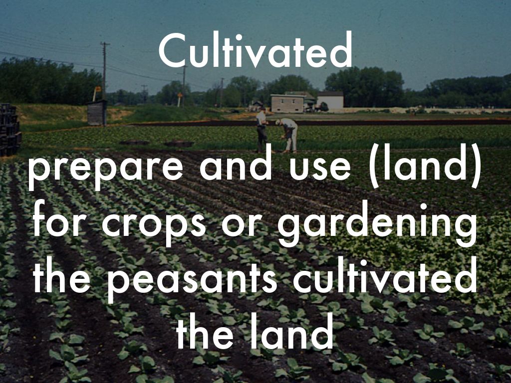 Vocab. Project by Luke Arriaga