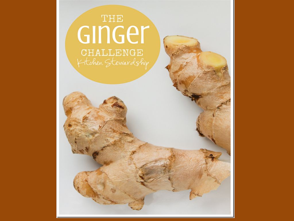 All Things Ginger by Joe Lewis