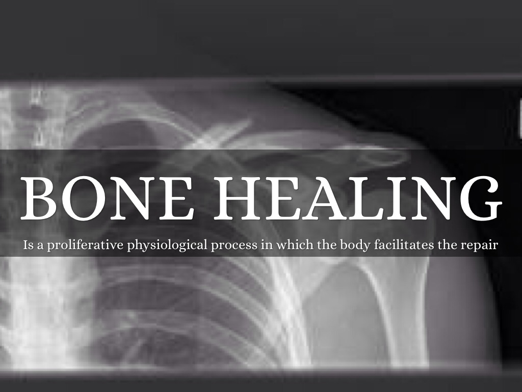 Bad To The Bone! by Aliah Jones