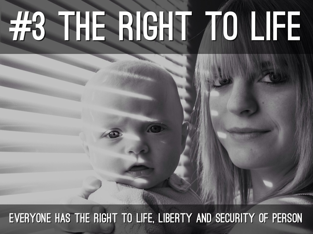 UDHR by William Vuong