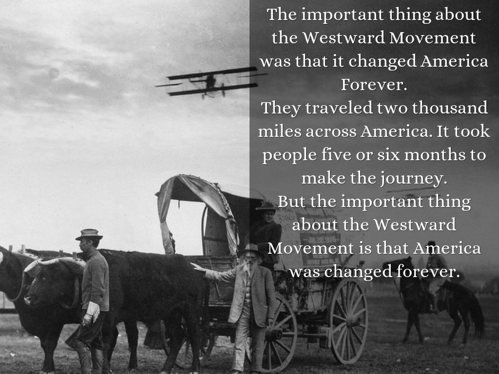 Important Book by Jen Christensen