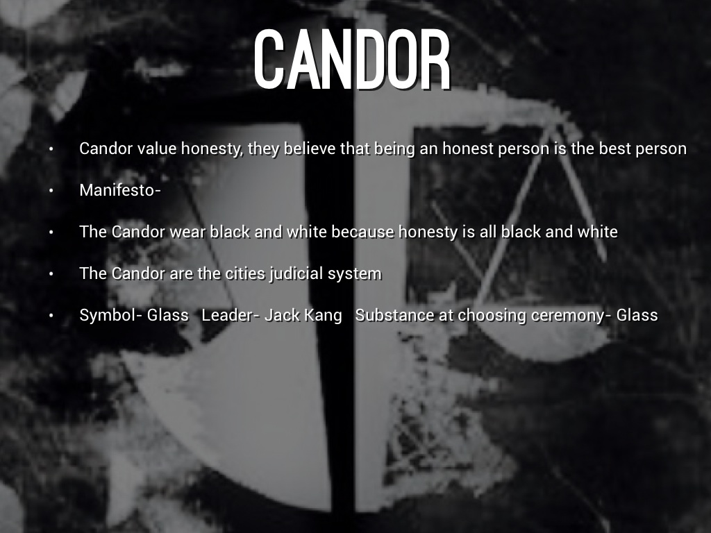 Copy of Divergent by Kat Schafer