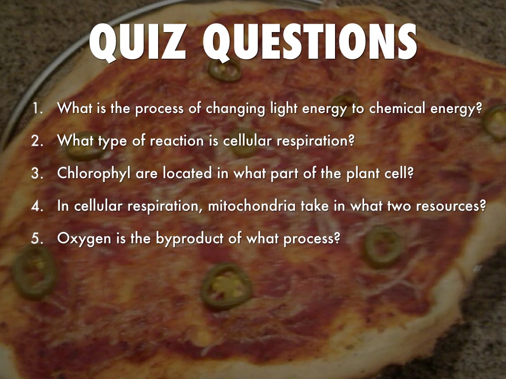 Photosynthesis
