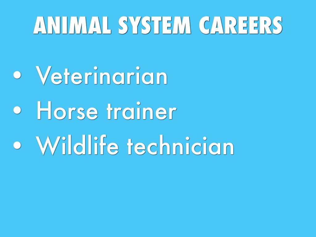 Career Cluster Presentation by Courtney Good