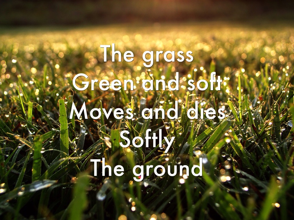 Laila's Poetry Collection by elbalail0967