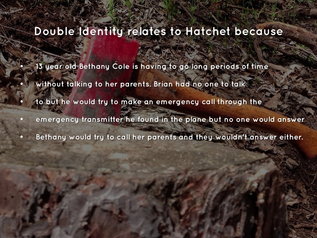 Double Identity by Hope Hanners