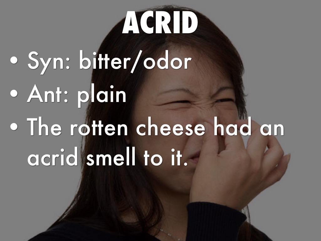 Vocab 29 by Justin Schneider