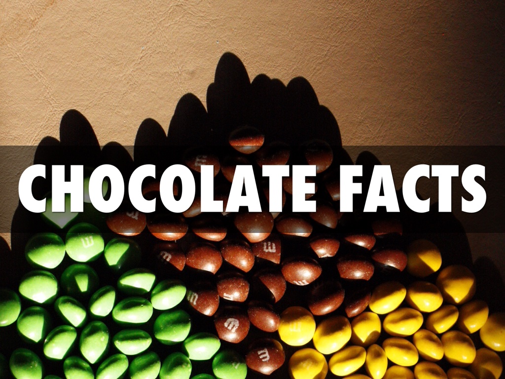 Chocolate Facts by Begum Ayirga