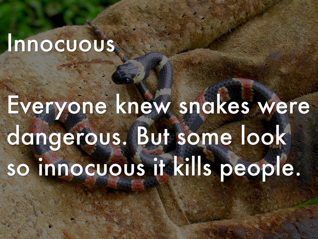 Vocab by gosnesyd000