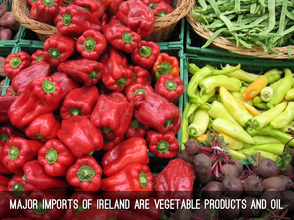 Ireland by natalielreynolds