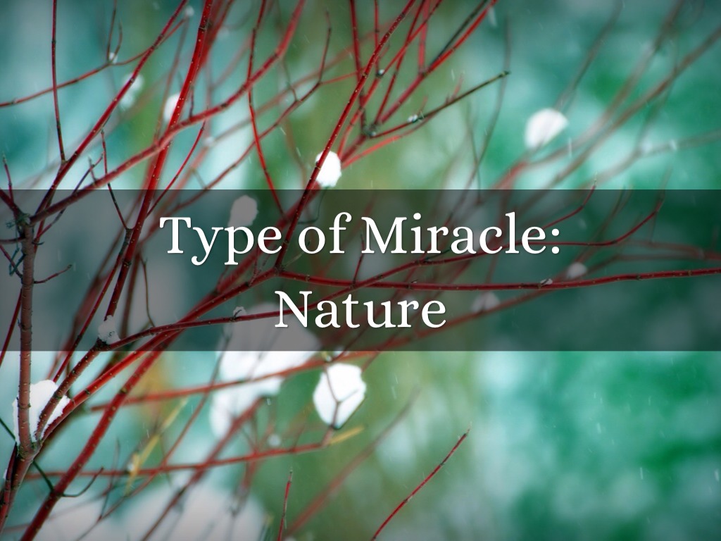 Miracles by shamrock.khc