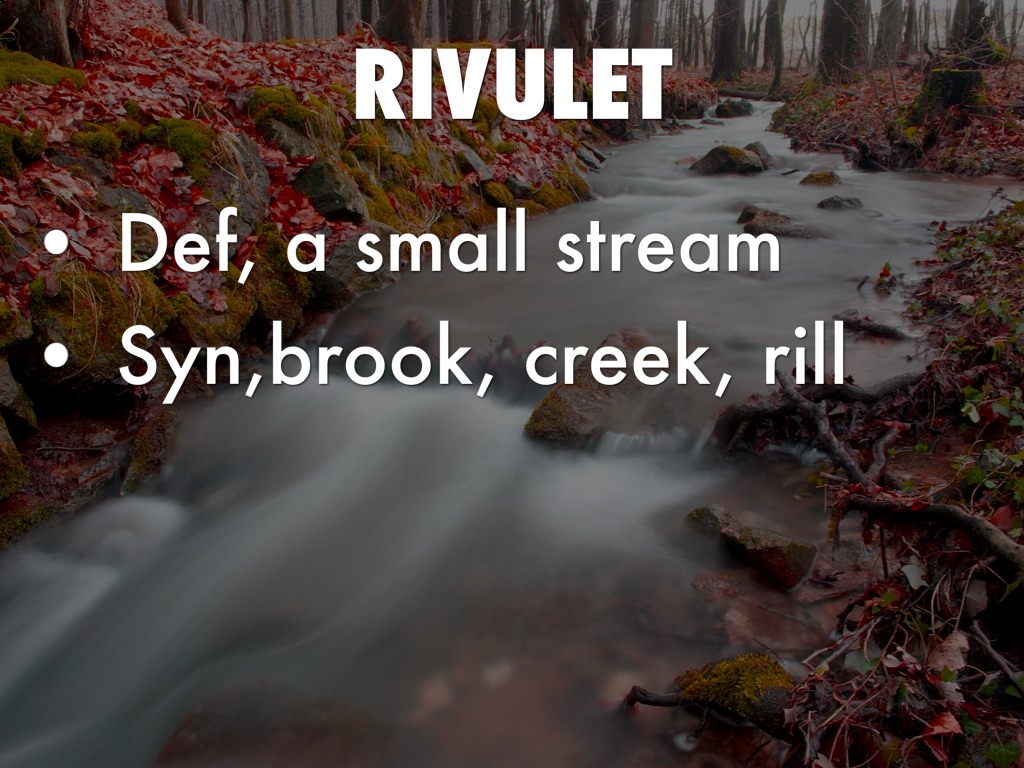 Vocab Ch 11 by osullivanmichael639