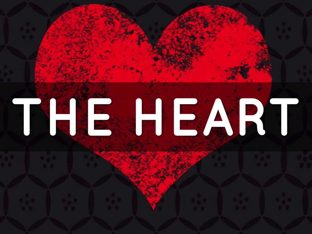 The Heart by Malena Fuster