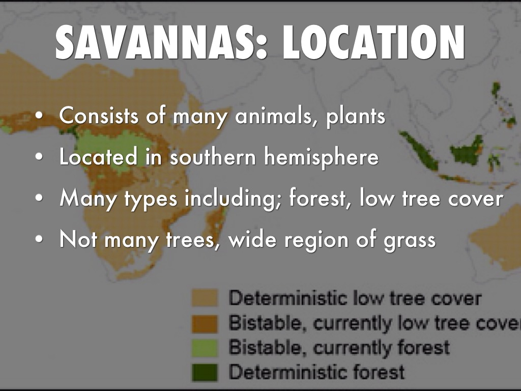 Savannah's by kangrenk.student20