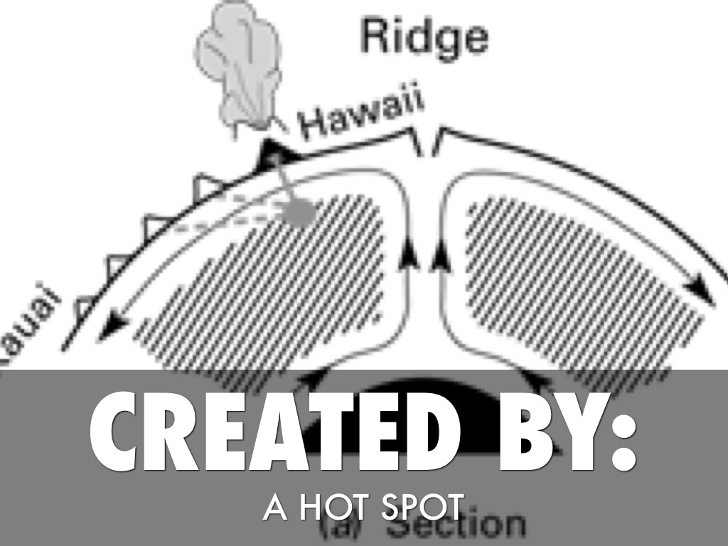 Science Project by Amanda Rickard