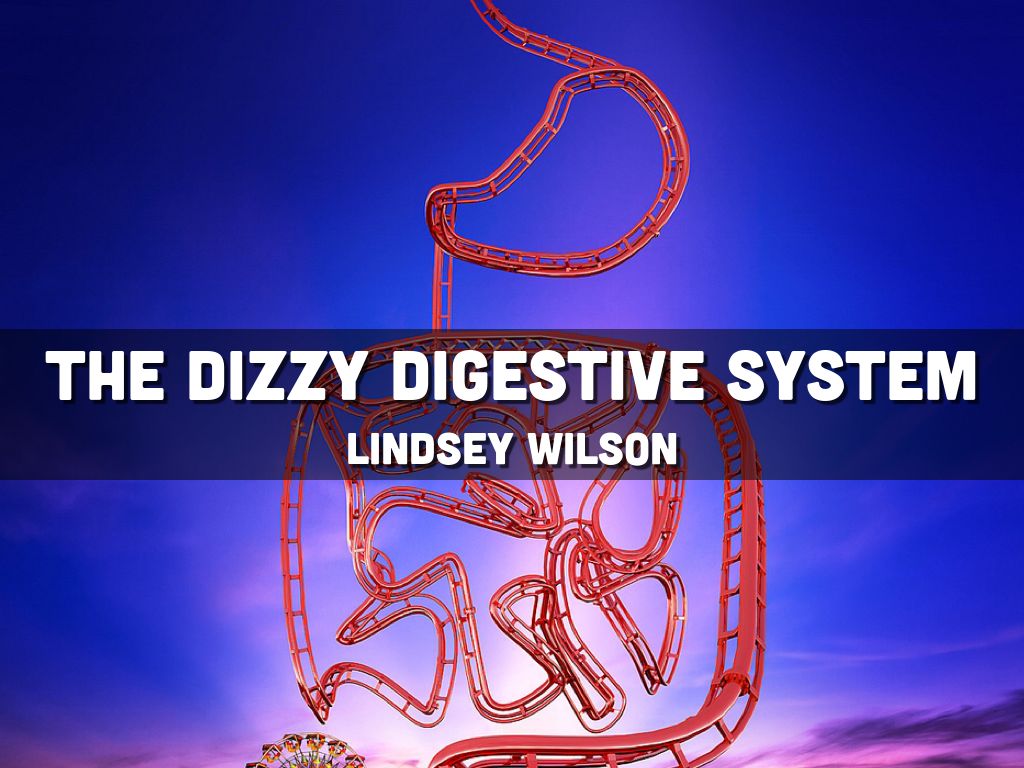 Digestive System by Lindsey Wilson