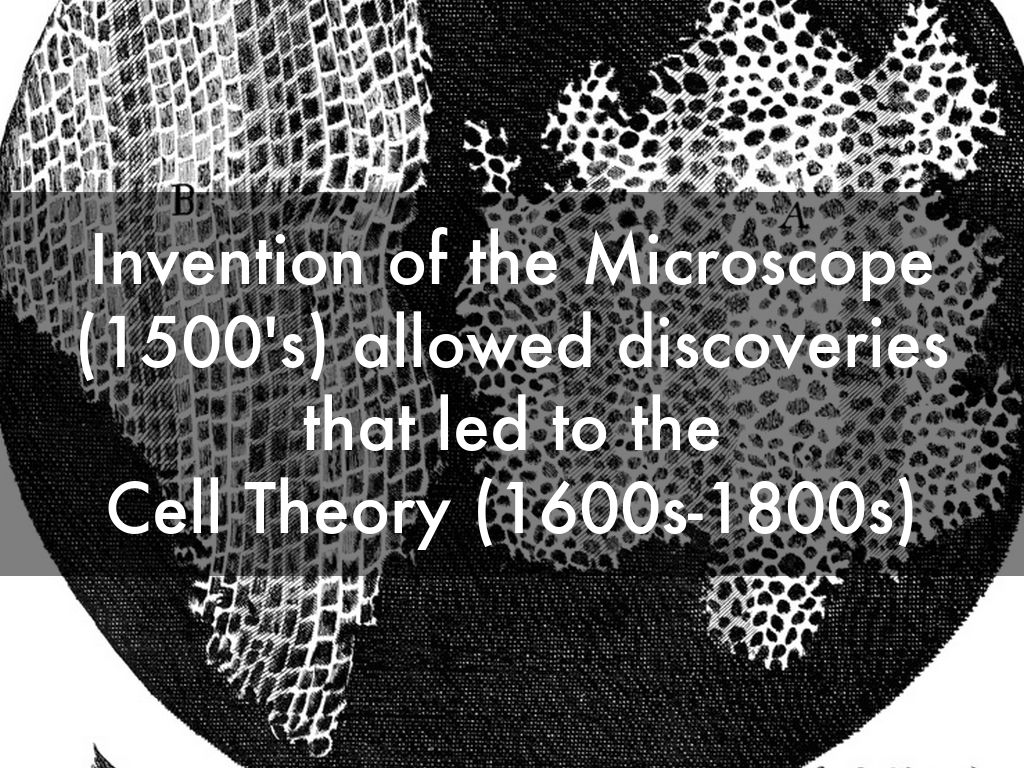 Unit 5 Cells by Maria Neumann