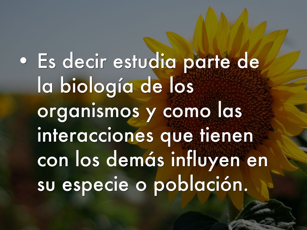 Ecologa Y Educacin Ambiental