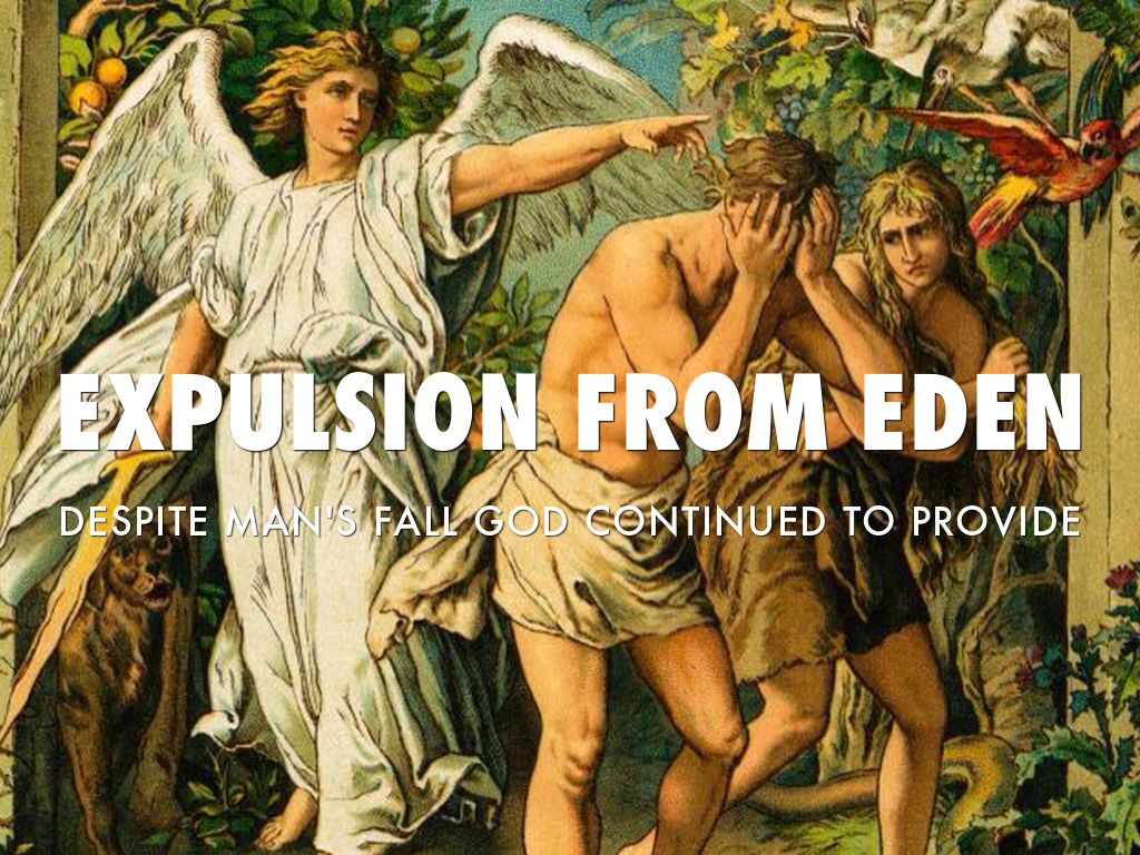 Threshold Bible Study: Divine Mercy by Maura Pauli