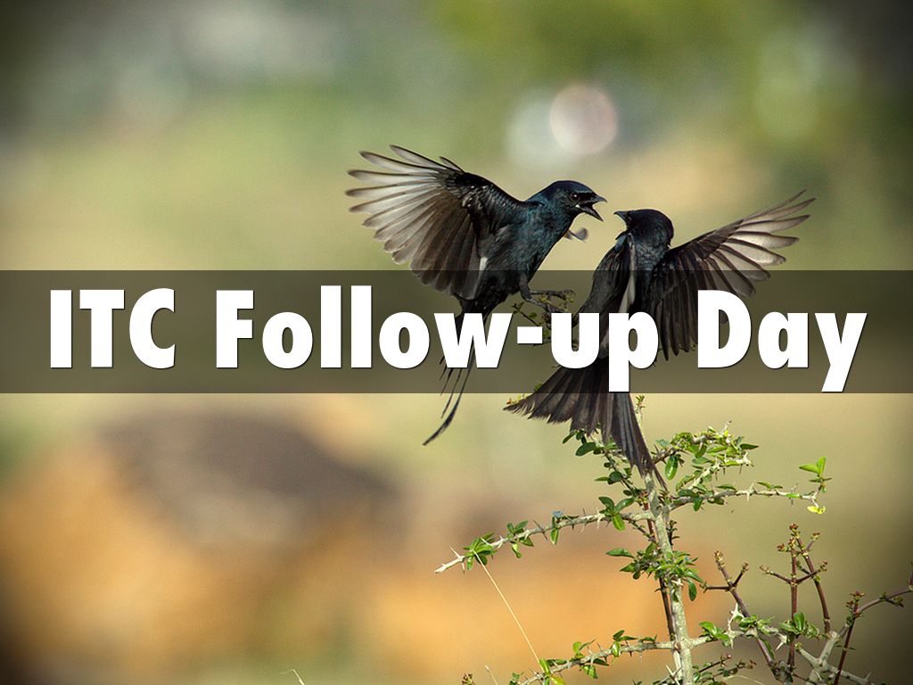 ITC Follow-up Day by Linda Shepherd