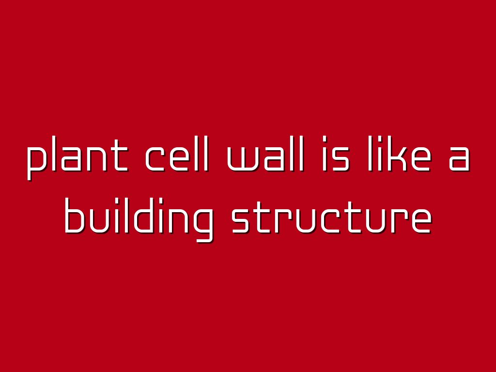 plant cell metaphors/similes by Angela Stallbaumer