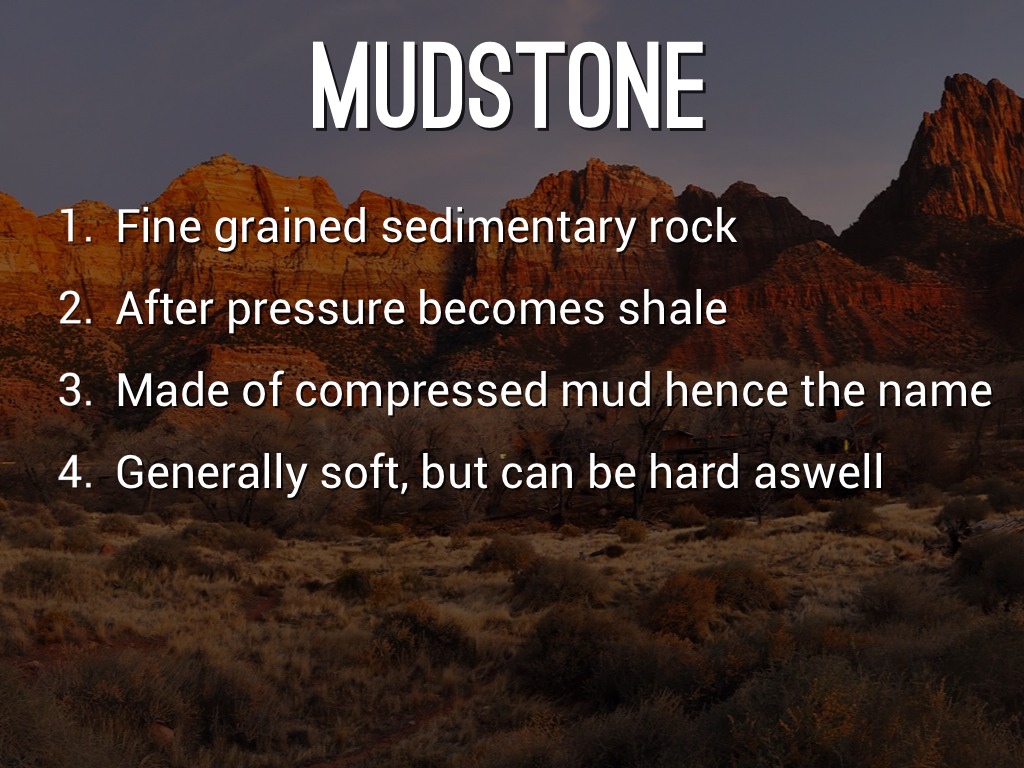 Slimy Shorelines Josh and Austin by Austin Barish