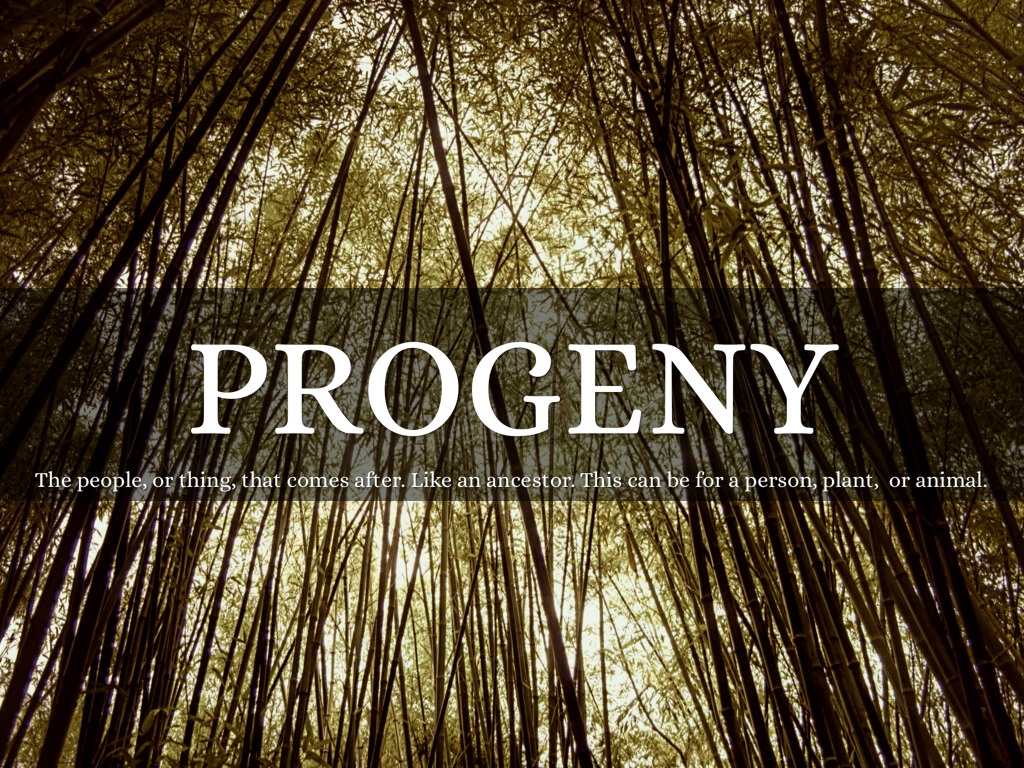 Unit 40 Words by imihaili