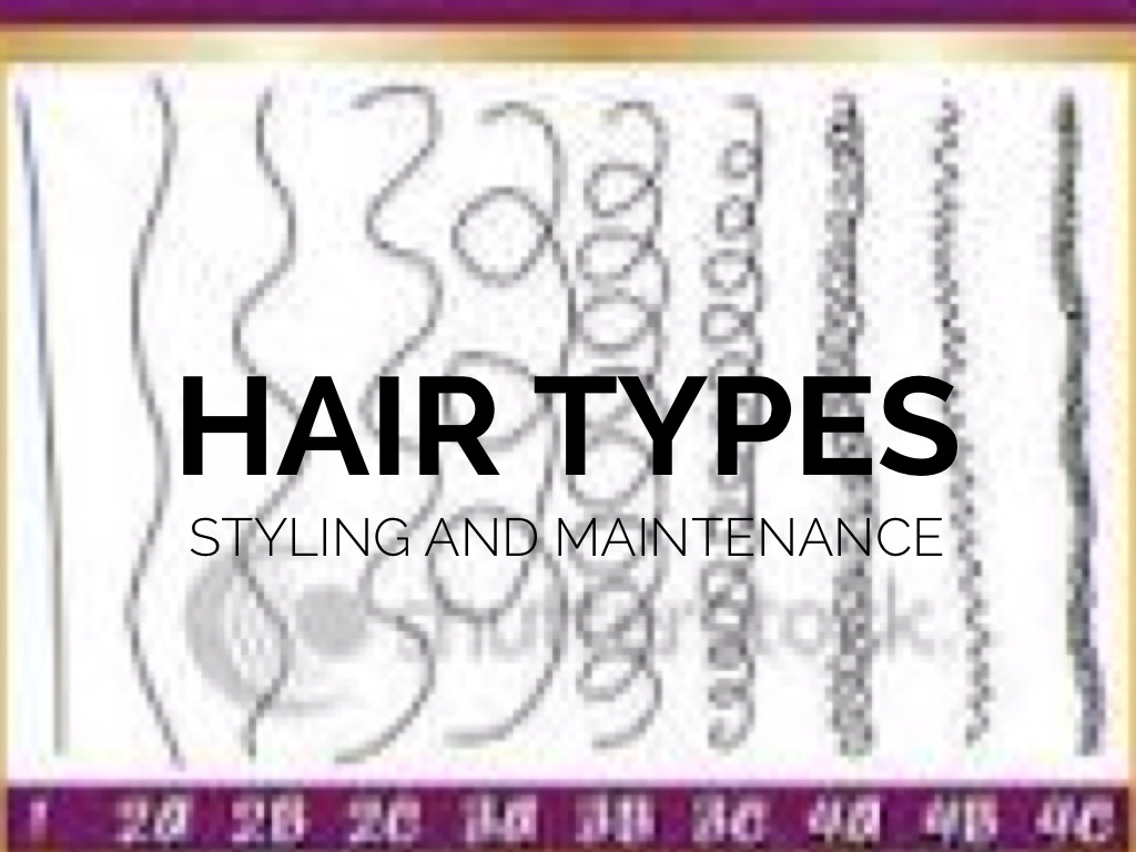 Copy of Copy of Hair Types by Celisse Davis
