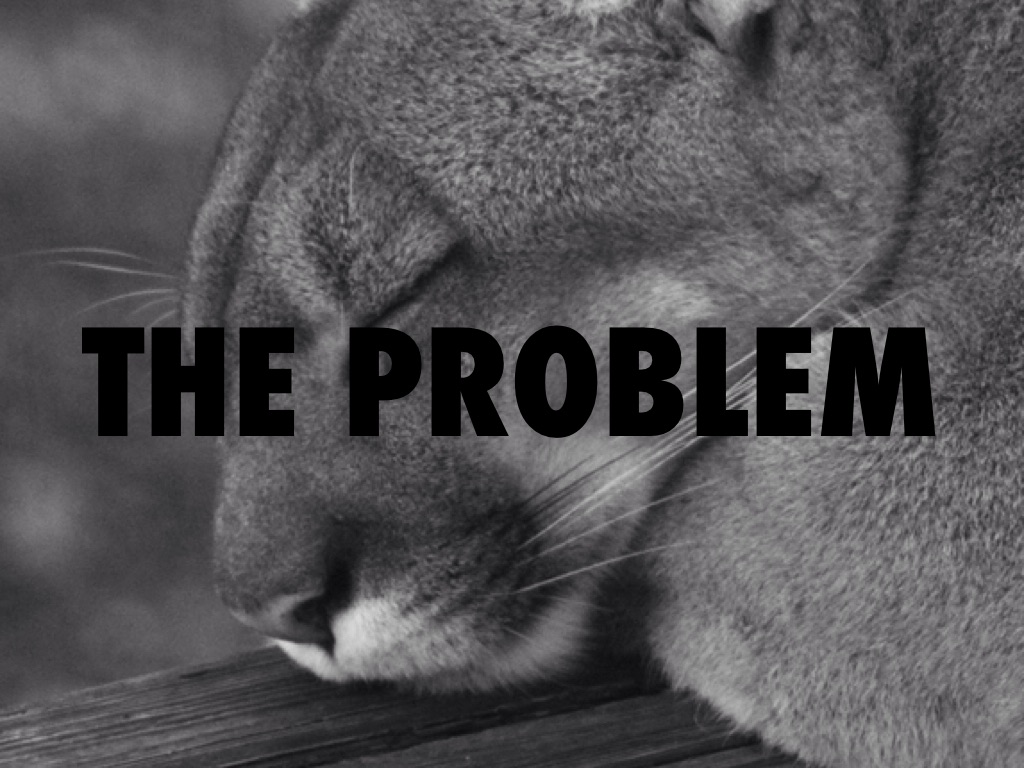 Florida Panthers by William S