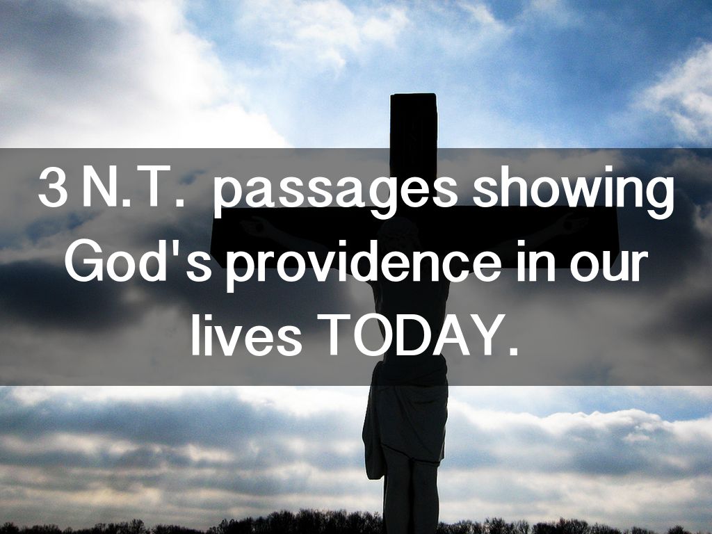 The Providence of God by Stephen Boone