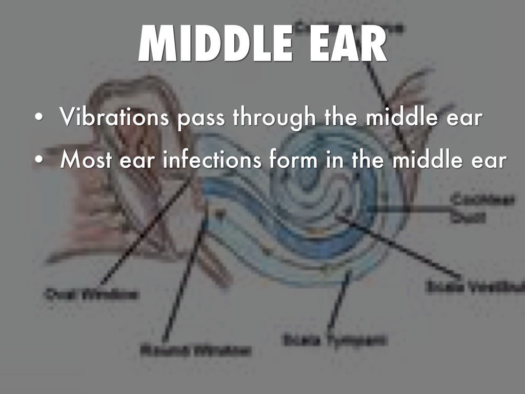 Hearing by caleigh shoemkaer