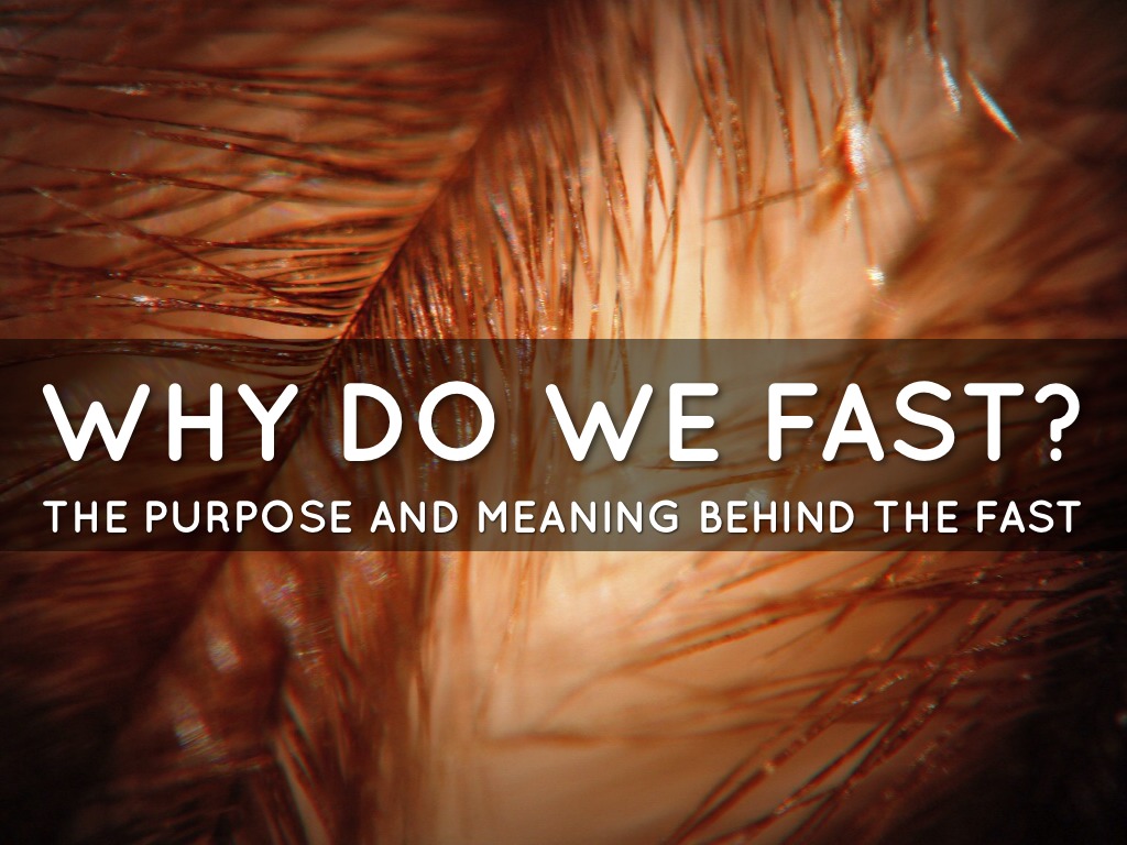 Fast Deepening by Nakia Tyler