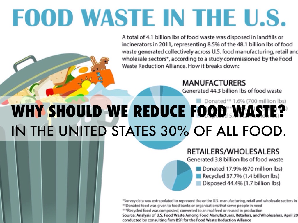 Food Waste by Alisha Begonia
