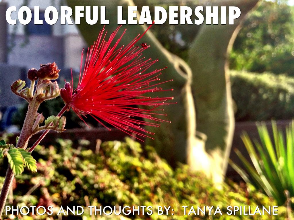 COLORFUL LEADERSHIP