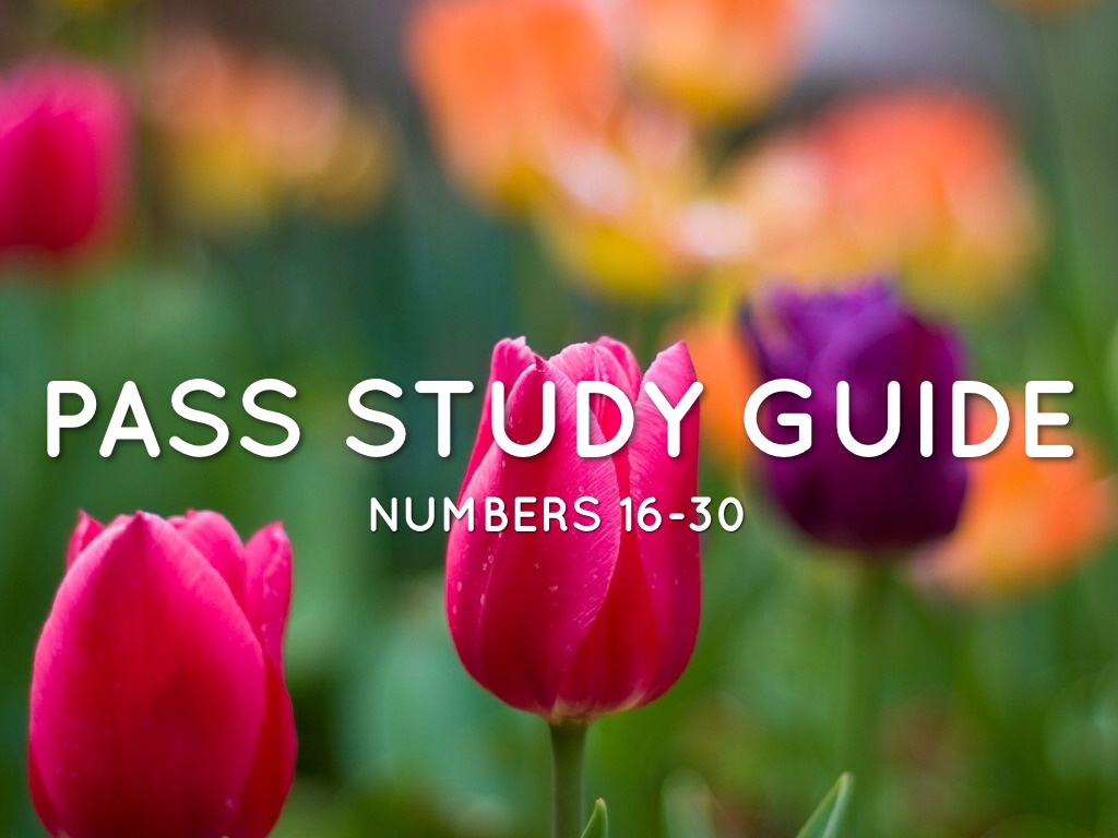 Pass Study Guide by Ivey Wright