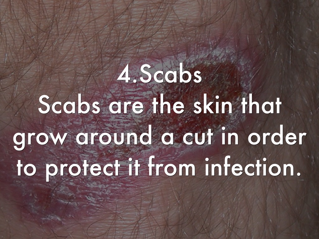 Science by Mckenna Mackey