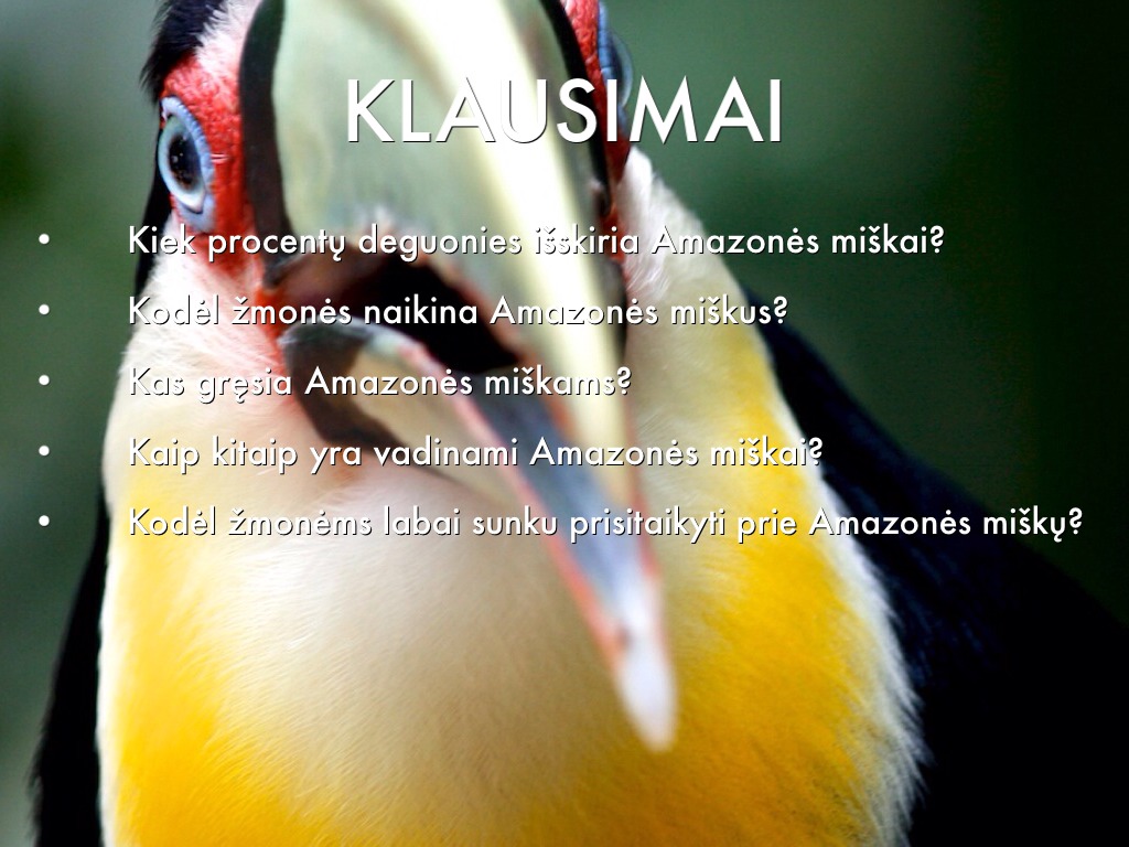 Amazonės miškų likimas