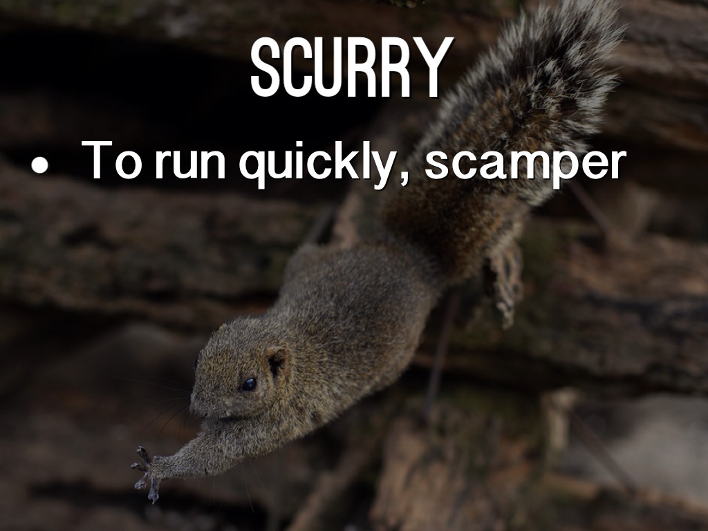 Unit 4 Vocabulary by peifshos