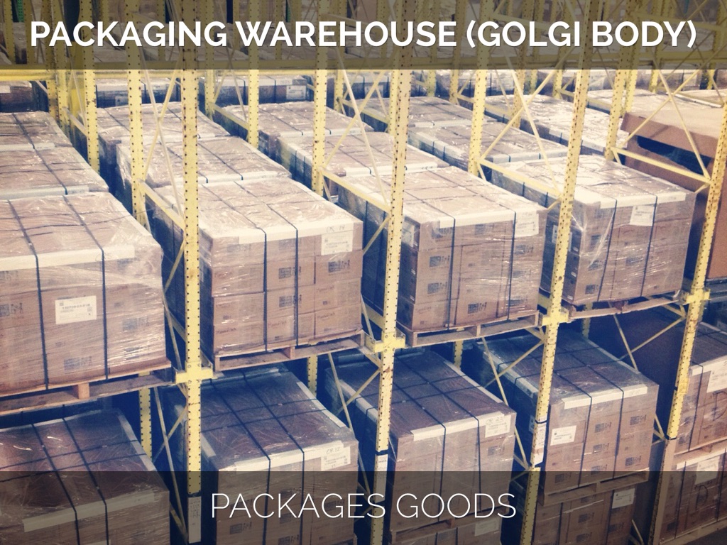 Cell Project by Justin Lorenzo-Milone