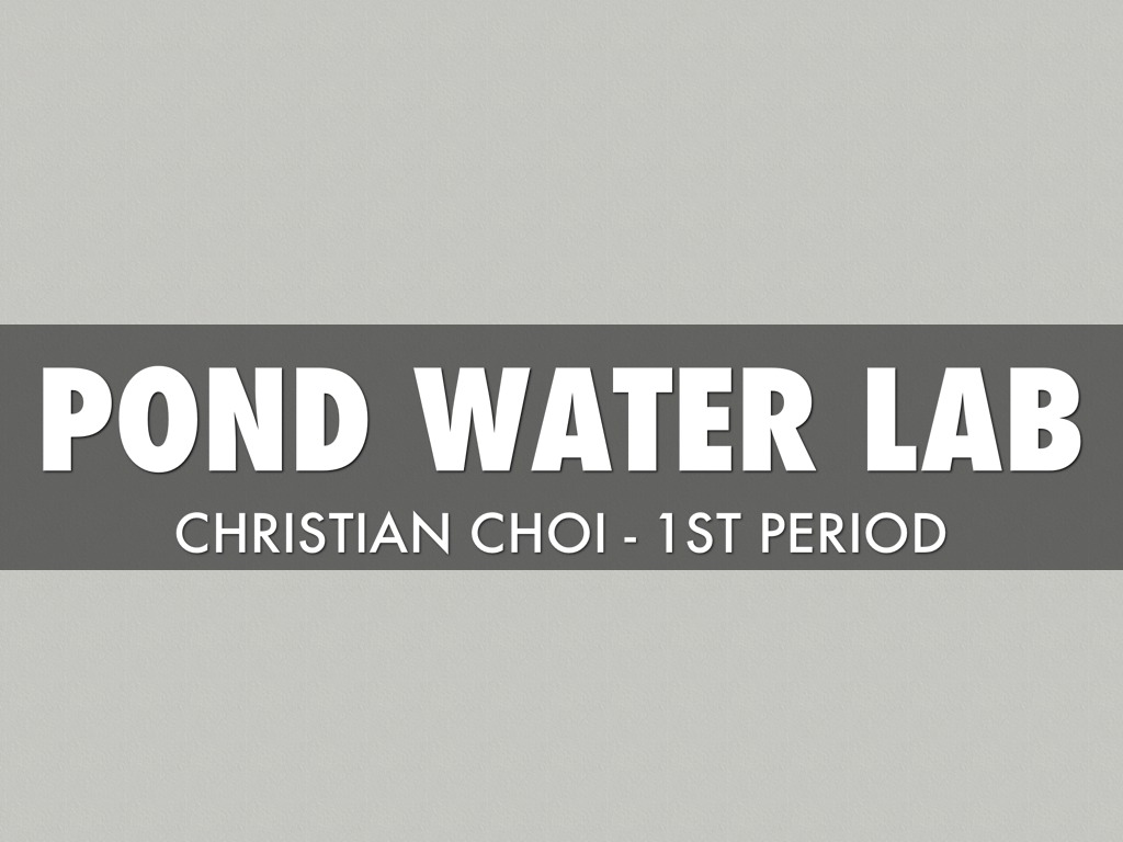 Pond Water Lab By Christian Choi