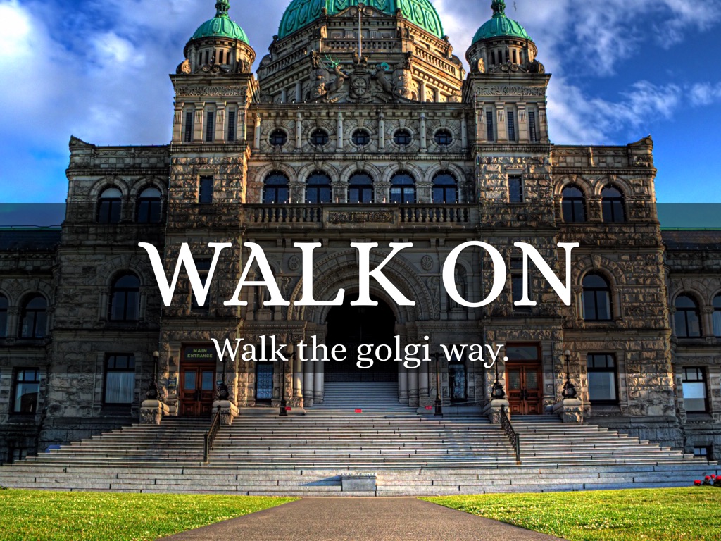 Kremlin by David Kincade