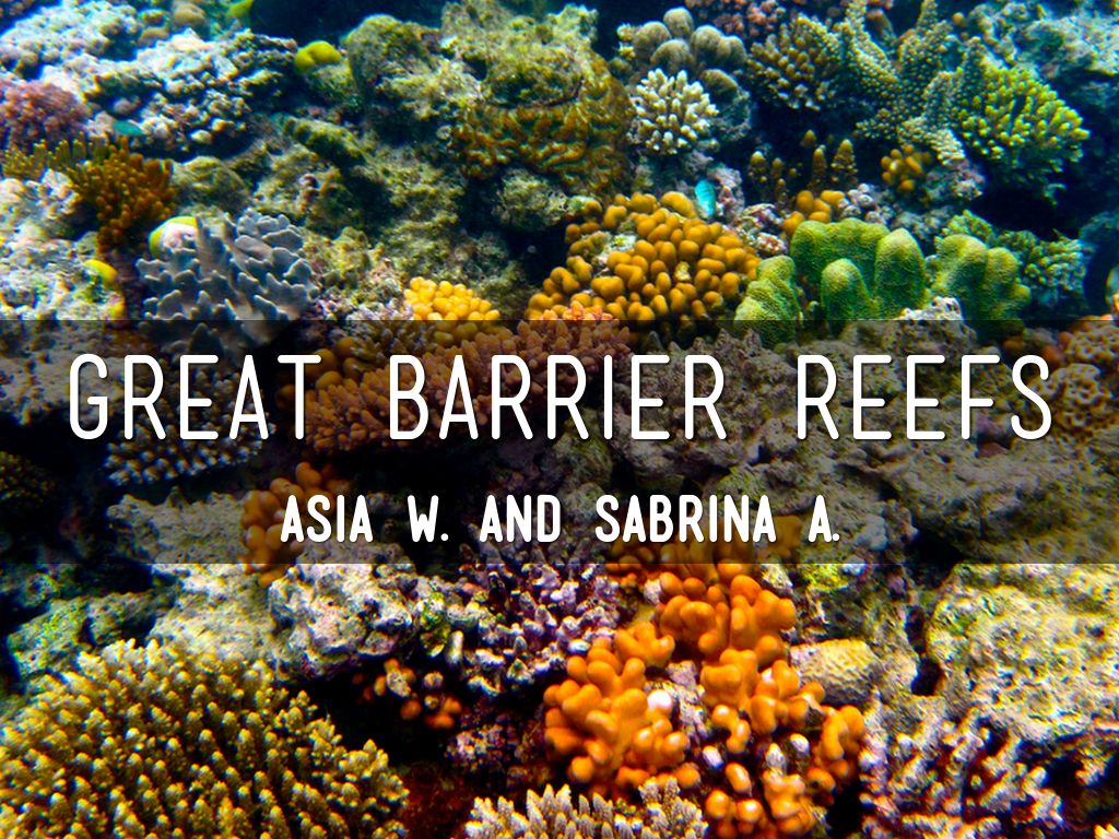 Great Barrier Reefs by sjartemus