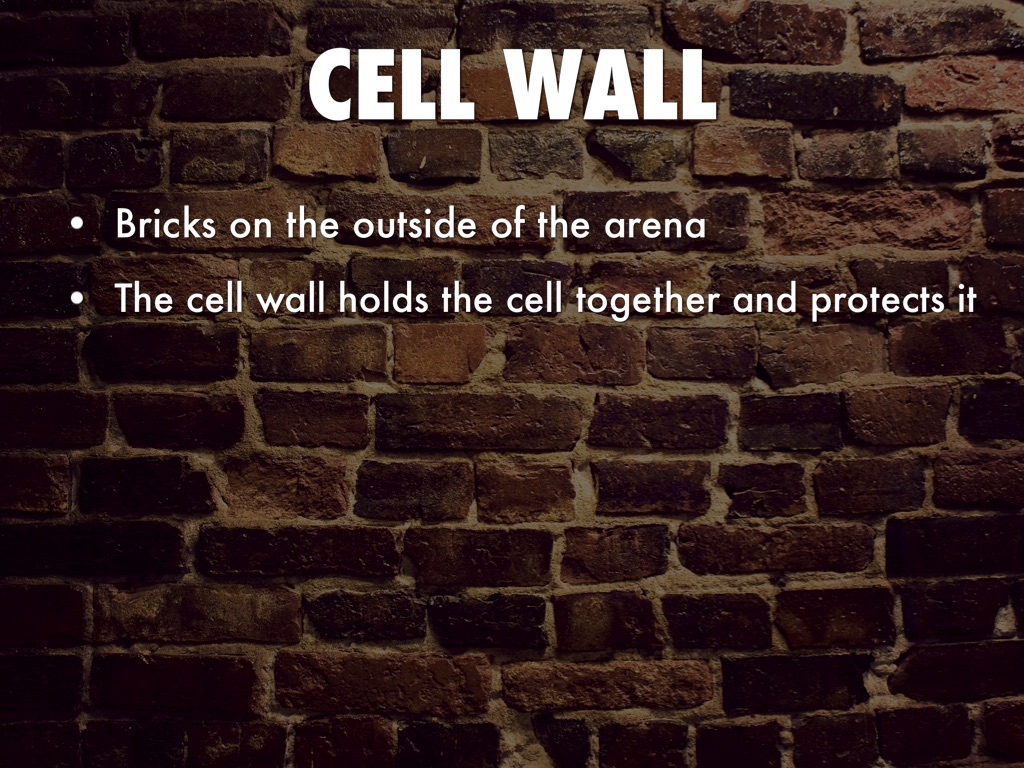 Cell Project by Liam Worms