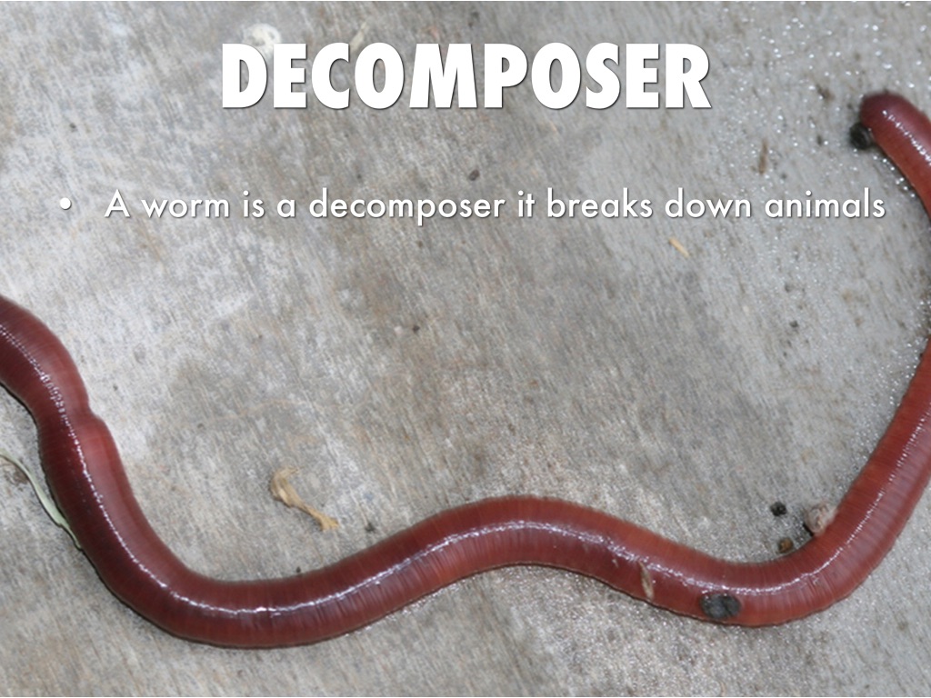 Practice by Joey Franklin